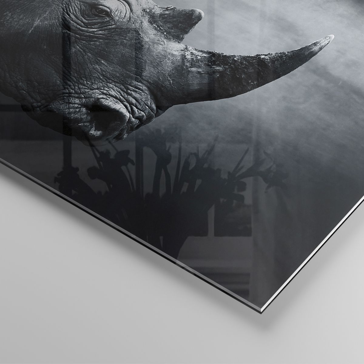 Obraz na szkle - Prawy profil - 120x50cm - Nosorożec Czarno-Biały ...